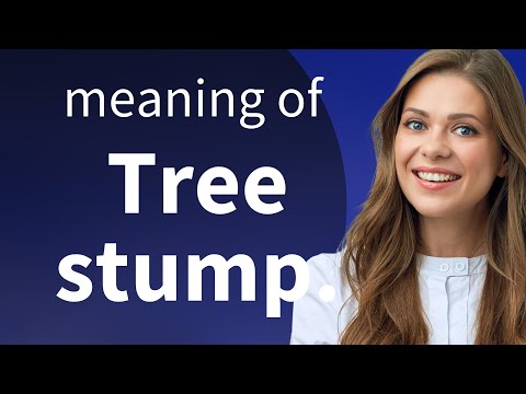 Understanding "Tree Stump": An English Language Guide