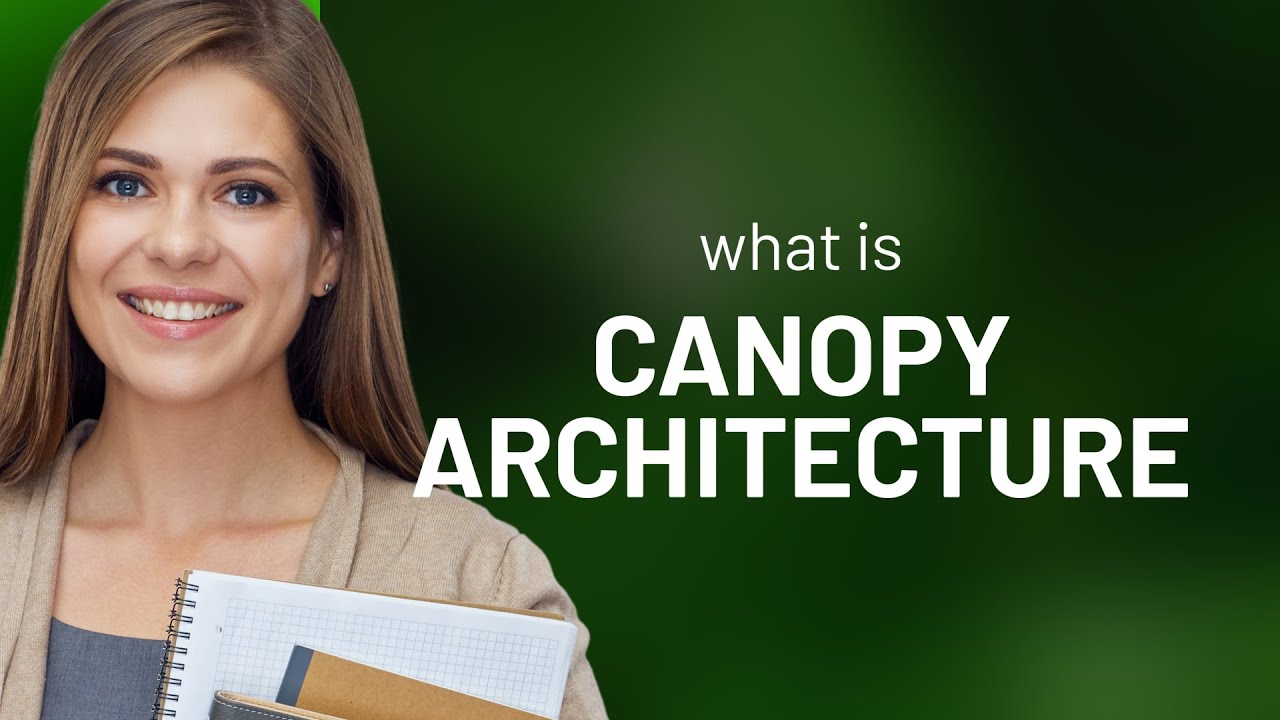 Unveiling the Mysteries of Canopy Architecture