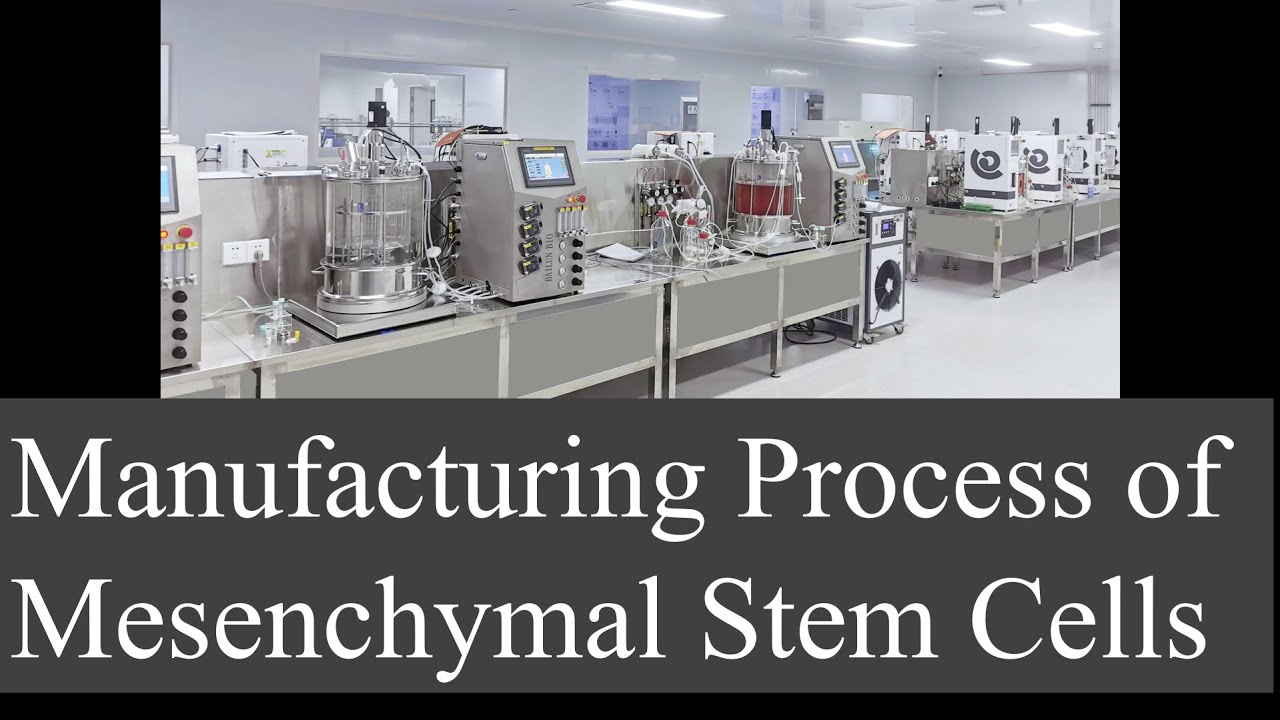 Manufacturing Process: Mesenchymal Stem Cells (MSCs) [3]