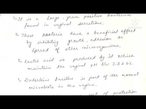 Doderleins bacilli//BHMS SECOND YEAR//pathology notes.