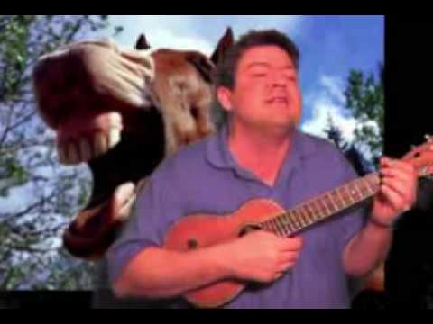 The Gary Busey SOng