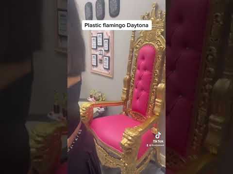 Plastic flamingo tattoo parlor Daytona!