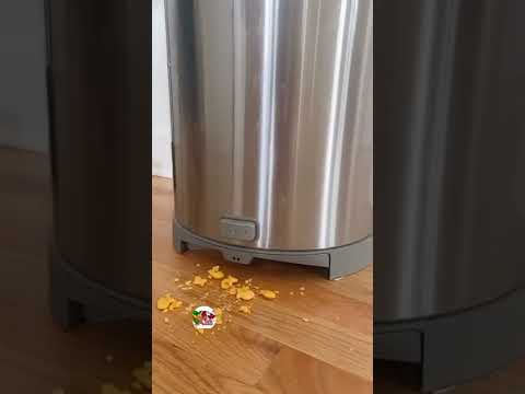 2in1 Touchless Trash Bin and Touchless Vacuum💥The Only Trash Bin That Cleans Your Floors
