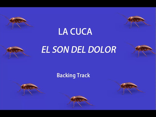La Cuca - El Son del Dolor Backing Track gratis en mp3 » LeadGuitar.Mx