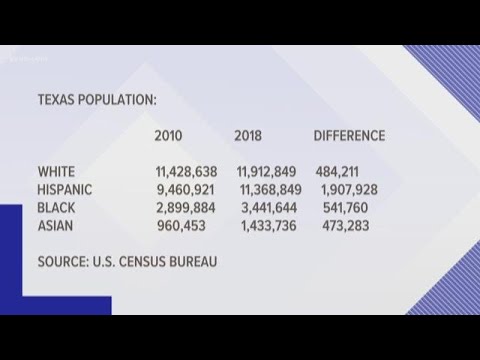 New 2019 Texas census data released | KVUE