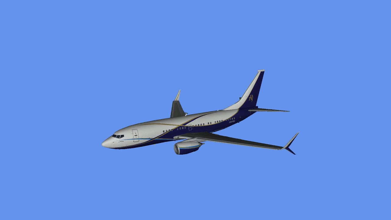 Boeing Executive Boeing B737 700W FAIB   Part 2