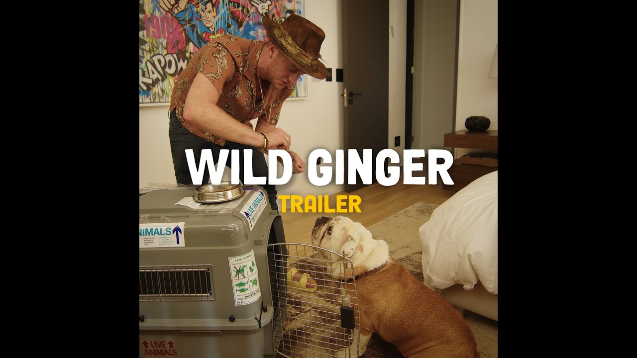 Wild Ginger - Trailer