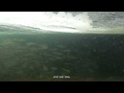 The Secret Life of Rivers: Ice.