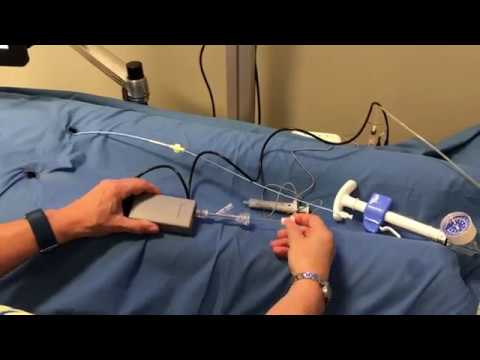 Coronary Stents - Heart Artery Stents Latest Price, Manufacturers ...