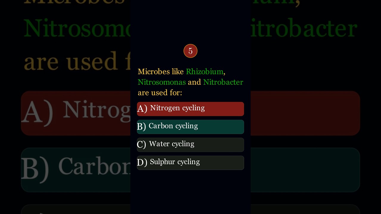 Microbes Quiz: Rhizobium, Nitrosomonas, Nitrobacter - What Do They Do? #sciencequiz #biology #learn