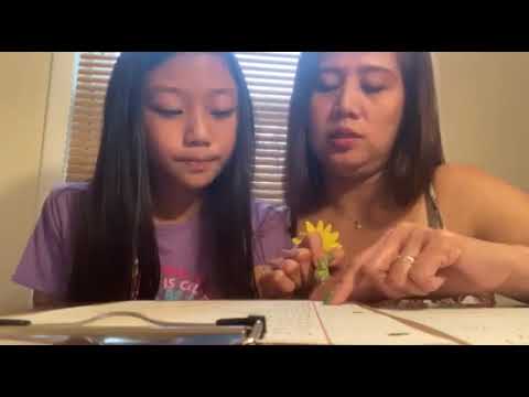 ENGLISH- FILIPINO ( tagalog) Translations, WORDS THAT START WITH LETTER B