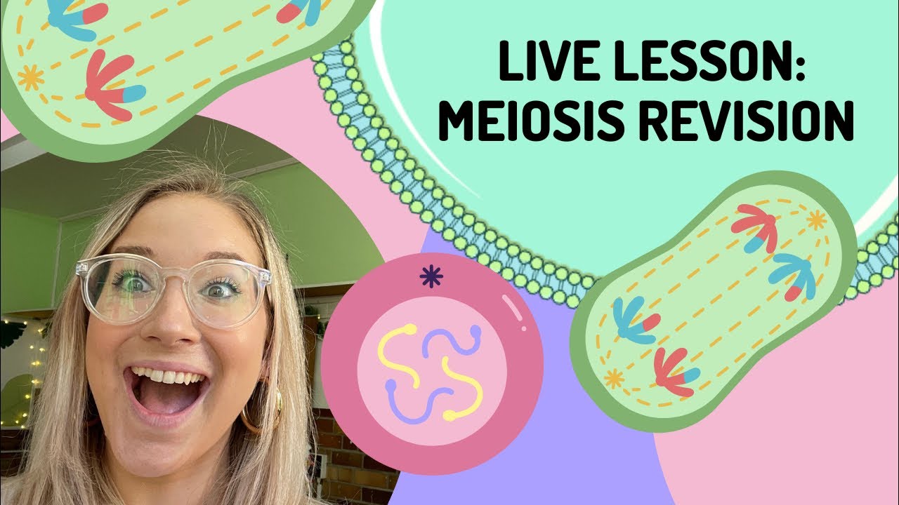 Live Lesson: Meiosis Revision