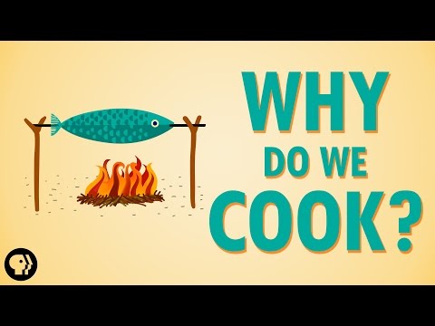 Why Do We Cook?