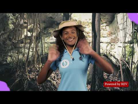 Learn all about mangroves with the Goombay Kid Environmentalist
