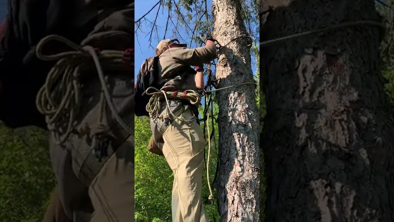 Logan Harris One Stick Climbing and Rappel Method