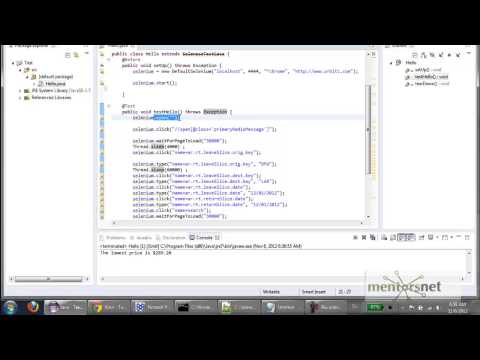 SEL 19: A Sample Selenium Automation Using Selenium RC