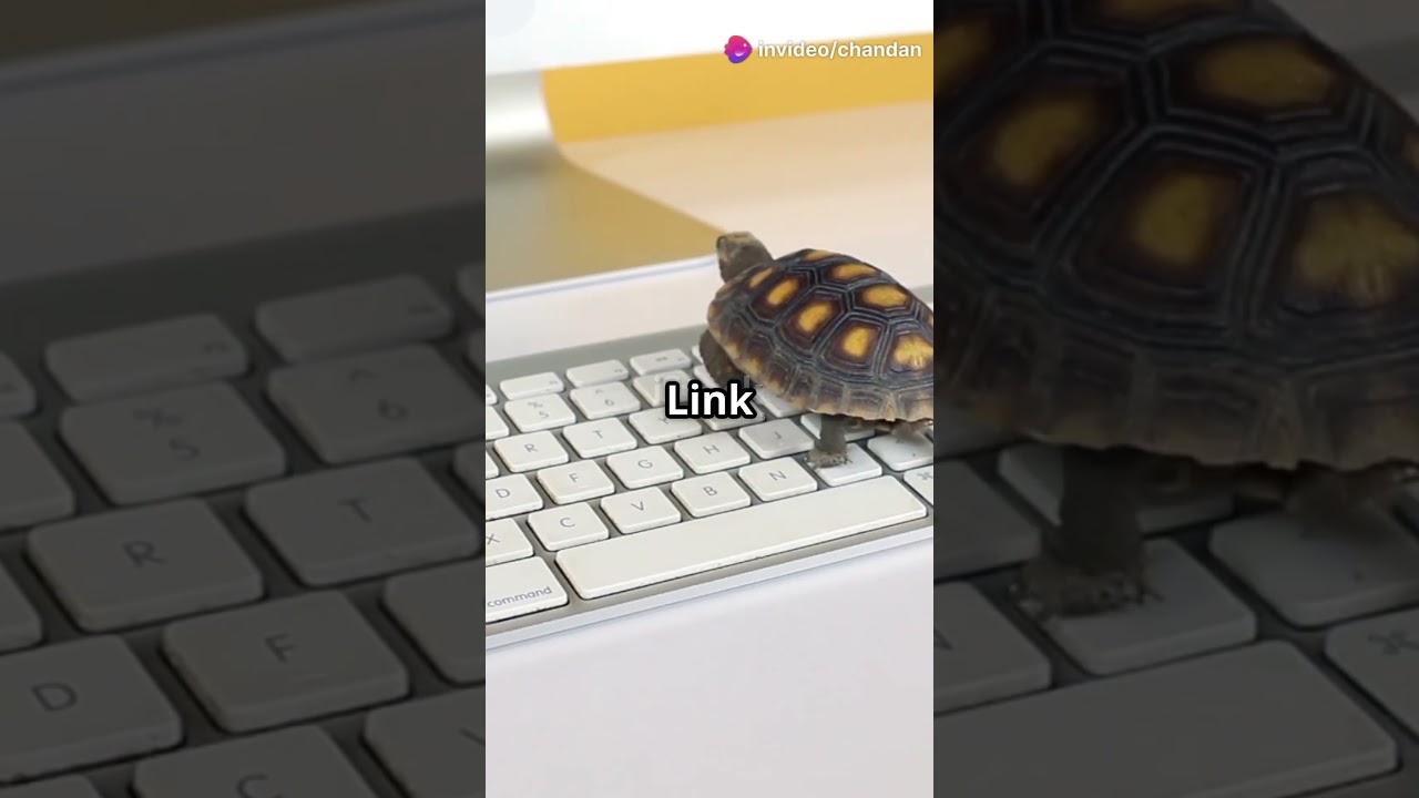How to Create a Simple Python Game in 1 Minute!
