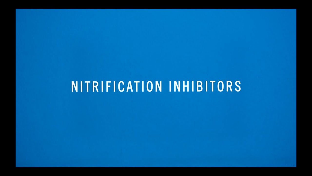Understanding Nitrogen Loss: Nitrification Inhibitors