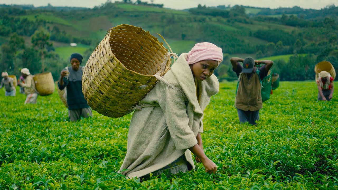 Napambana by Zuchu from Tanzania | Popnable