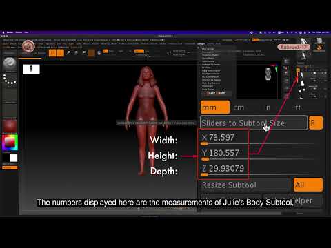 ZB_18.05 | How to check the measurements of 1 subtool using Scale Master.