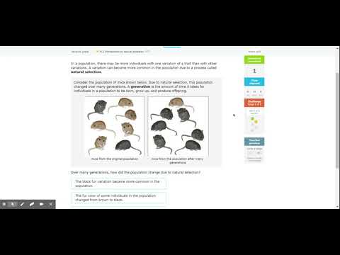 IXL | Introduction to natural selection | 7th grade science
