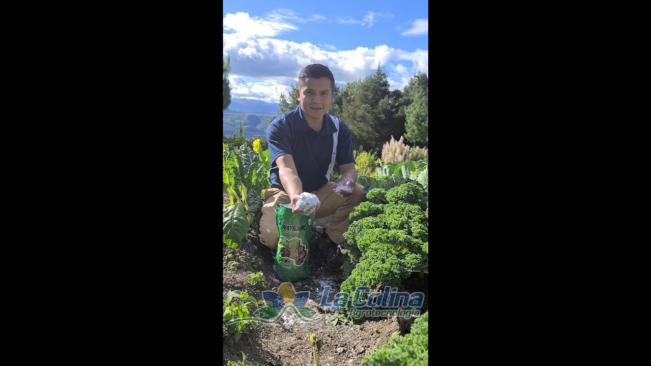 Cómo utilizar la tierra de diatomeas, diatomita, plaguicida natural orgánico.