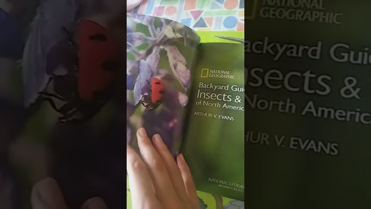 Backyard guide to insects and spiders of North America.