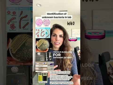Identification of unknown bacteria in lab in 1 minute #biology #STEM #lab #premed #prenursing