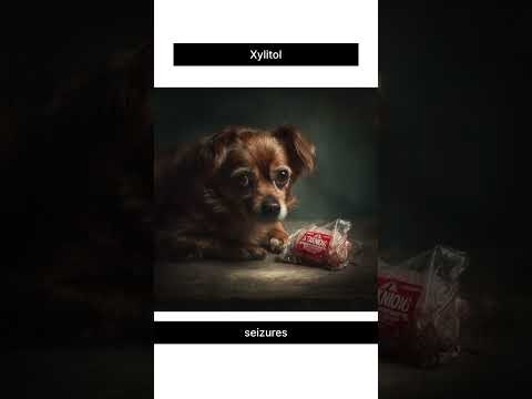 ❗ Just One Gum Can KILL Your Dog… (Xylitol Warning)