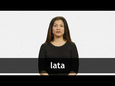 English Translation of “LATA” | Collins Spanish-English Dictionary