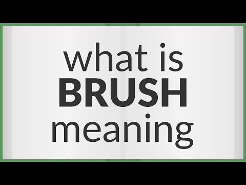 Brush | meaning of Brush