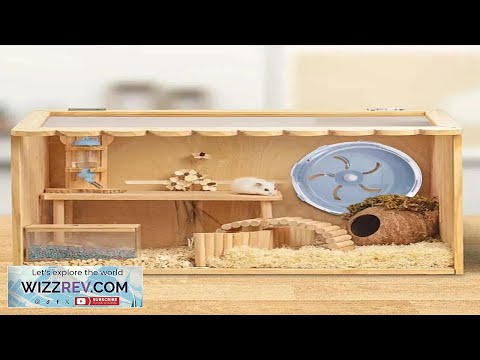 Hamster Sport Running Wheel Rat Small Rodent Mice Silent Jogging Hamster Gerbil Review