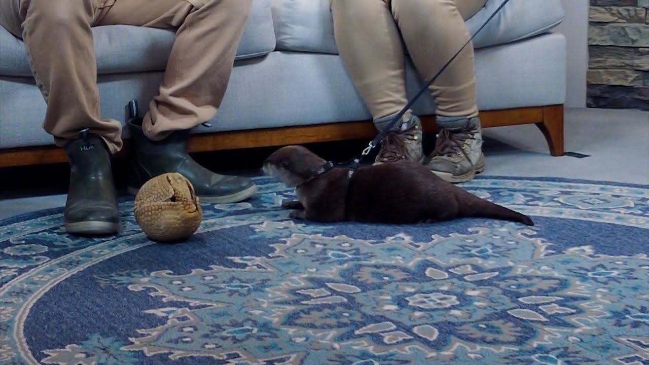 The Folks At Coastal Wilds At Barnhill Preserve Talk About Their Mission And Their Name Change