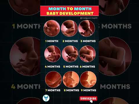 Pregnancy Progress: Detailed Month by Month Fetal Development | Baby bump #shortsfeed #pregnancy
