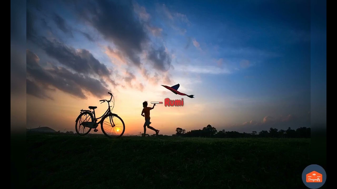 Top 30 inspirational Quotes | Dragonfly