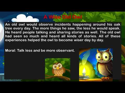 A Wise Old Owl l Educational English Story l English story 2024