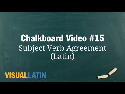 Subject Verb Agreement | Visual Latin Chalkboard #15