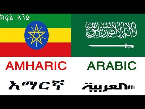ትርጉማቸው ተመሳሳይ አማርኛ እና አረብኛ ቃላት | Similar Arabic and Amharic words | አረብኛ ትምህርት | #arabic #ethiopia