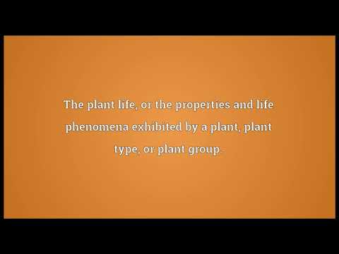 Botany Meaning