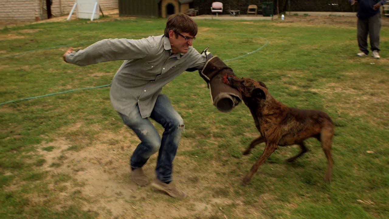 Louis Theroux's weirdest and most wonderful moments: From rap lessons ...