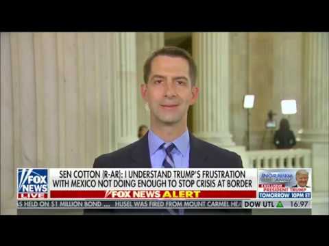 June 5, 2019: Senator Tom Cotton Joins Neil Cavuto on Fox News