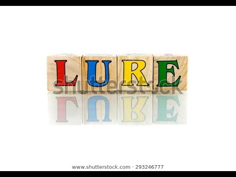 lure meaning in English