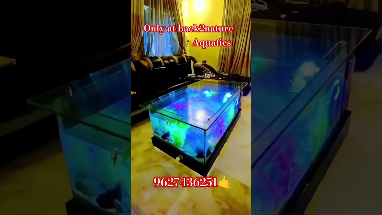 Aquarium Coffee Table | Aquarium Coffee Table Design #coffee table #aquarium