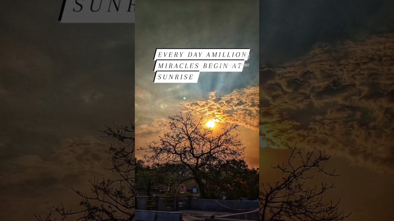 mobile photography #viral #pixel #pixel6a #sunrise #mobilephotography