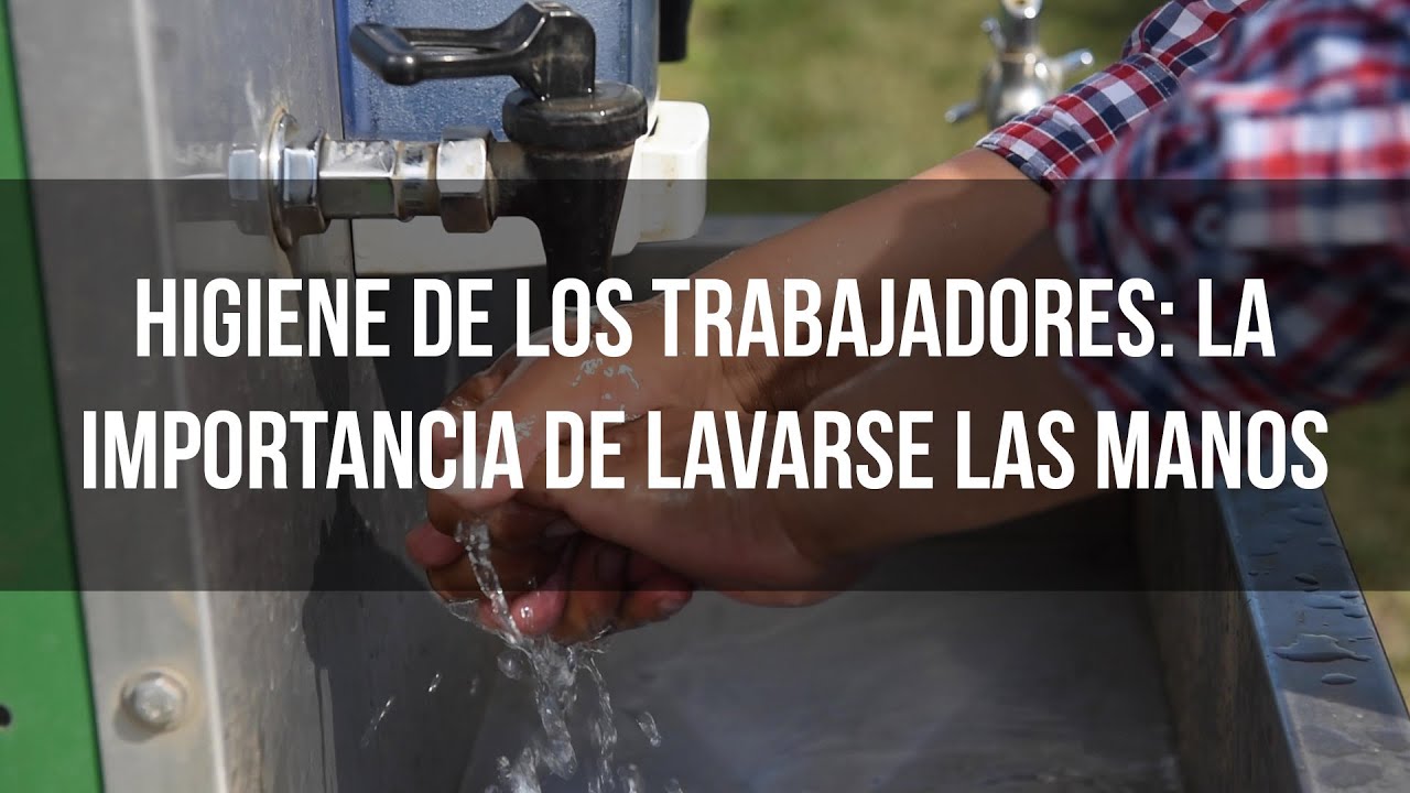 Cleaning and Sanitation:  Hand Washing and Worker Hygiene