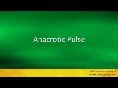 Pronunciation of the word(s) "Anacrotic Pulse".