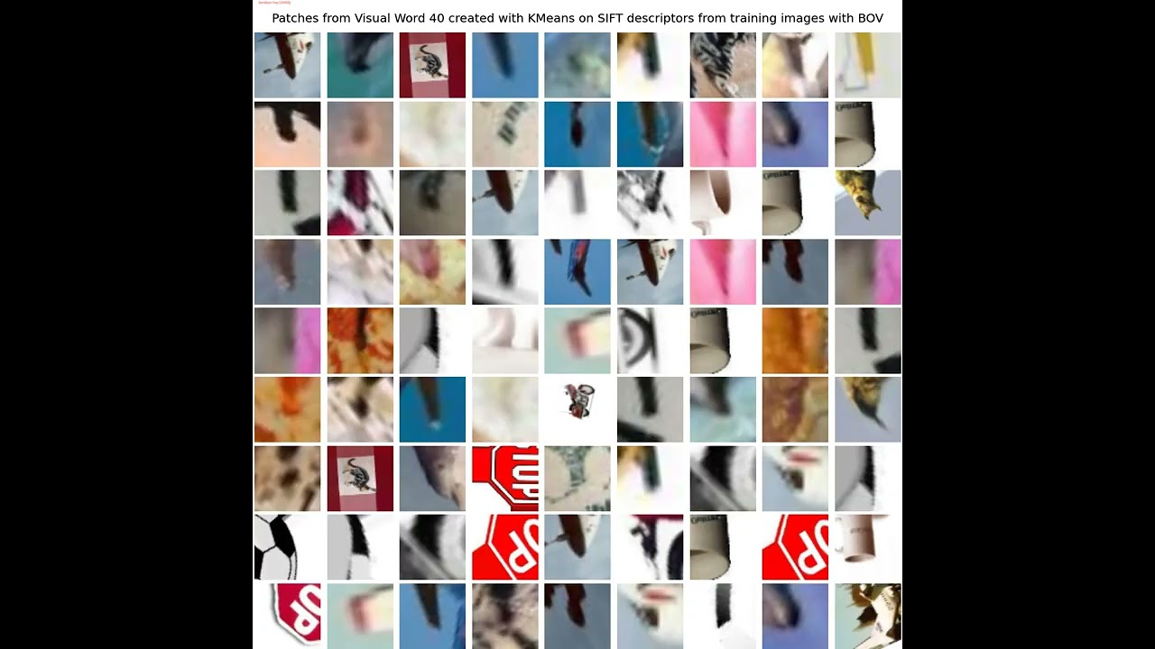 Image Classification | SVM | Bag of Visual Words | python