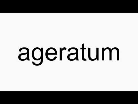 How to pronounce ageratum