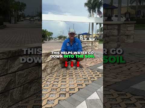 Sustainable Paver Tiles that will make your House Happy