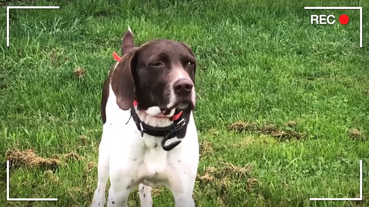 More Weird Youtube Channels